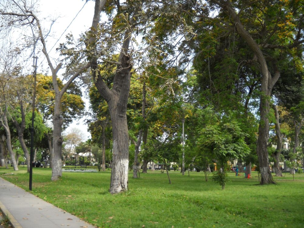 Parque Ramón Castilla de Lince: ubicación y atracciones - Parques del Perú
